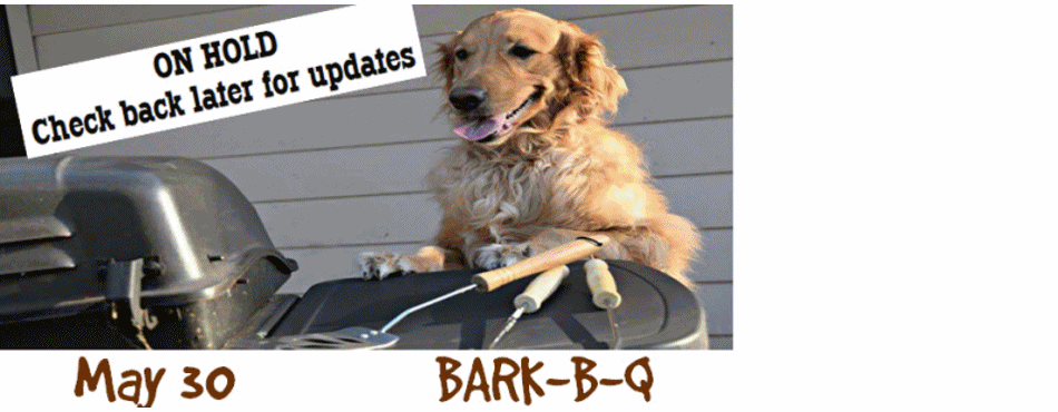 GRREAT | Golden Retriever Rescue Education and Training